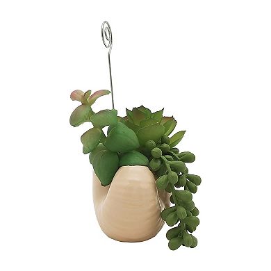 Sonoma Goods For Life® Shell Botanical Photo Clip