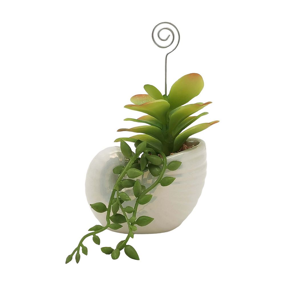 Sonoma Goods For Life® Shell Botanical Photo Clip