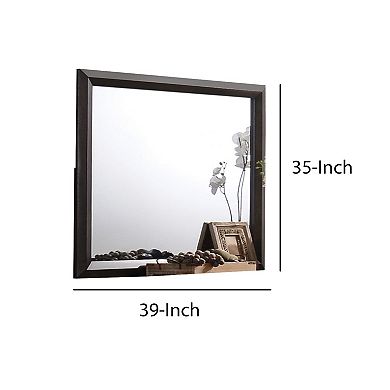 Transition Style Wooden Mirror with Rectangular Shape,Brown and Silver