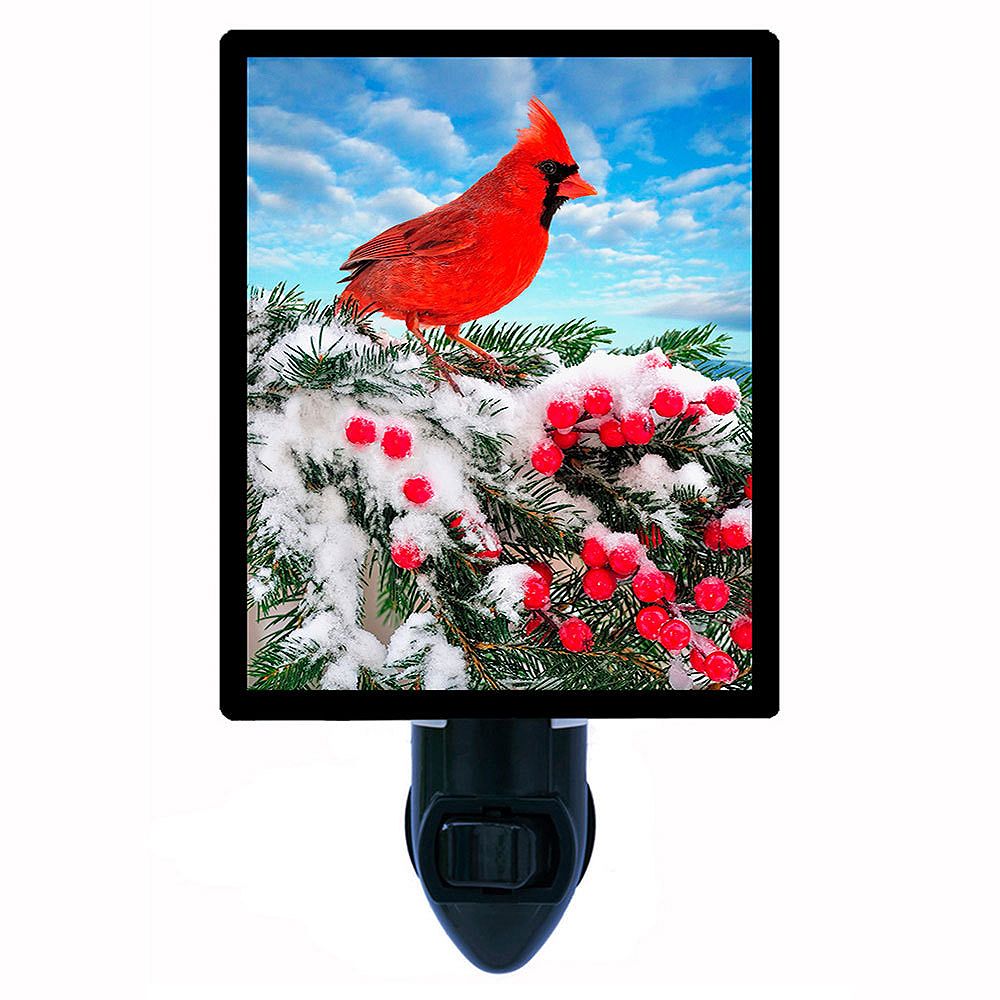 Winter Northern Cardinal. Decorative Photo Night Light.