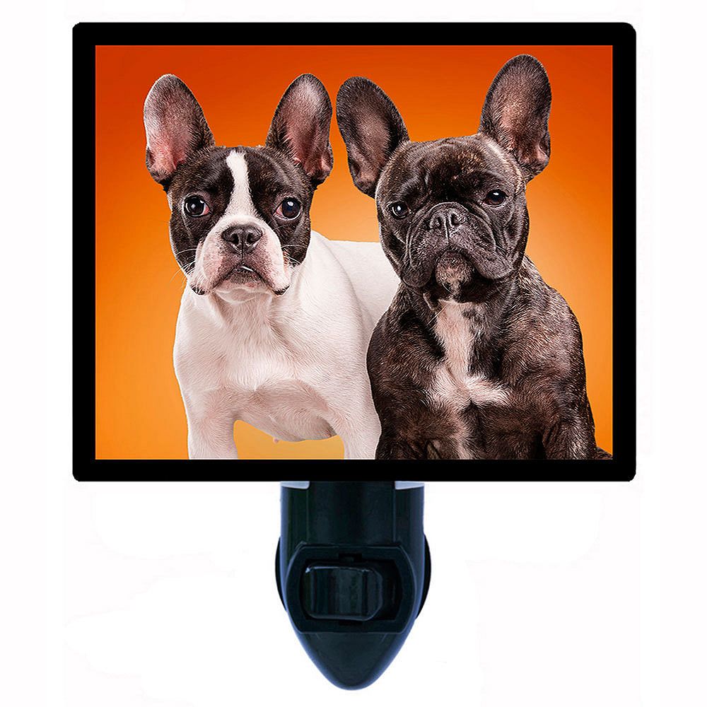 Two French Bulldogs. Dog Decorative Photo Night Light.