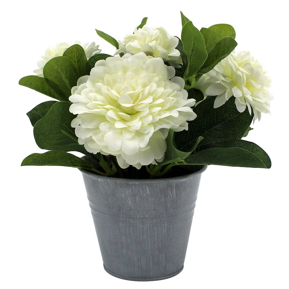 Sonoma Goods For Life® Artificial Potted White Cushion Flowers Table Decor