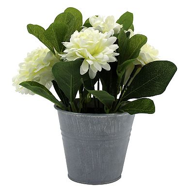 Sonoma Goods For Life® Artificial Potted White Cushion Flowers Table Decor