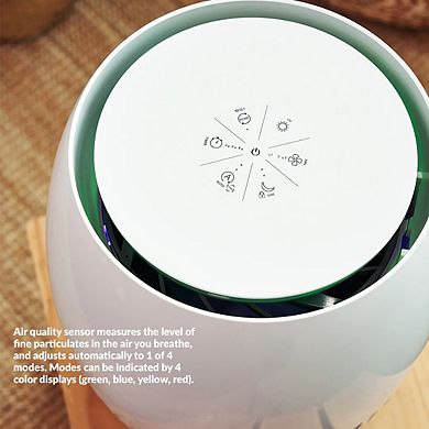 Avari EG 4-Stage Air Purifier with Embossed HEPA Filter, Carbon ...