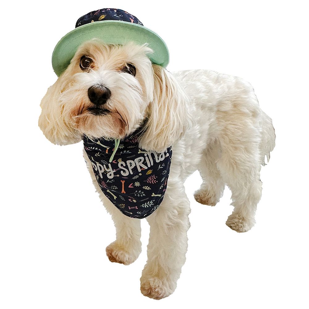 Woof "Happy Spring" Pet Bandana & Hat Set