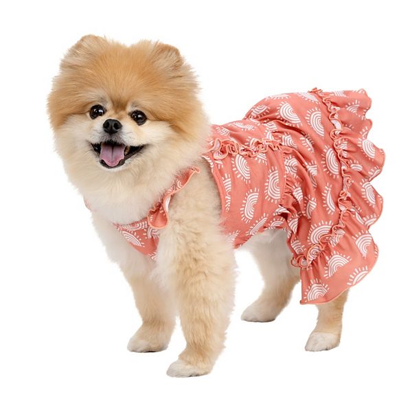SportPet Ruffled Dog Dress