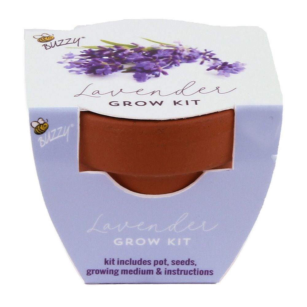Buzzy Seeds Terra Cotta Mini Grow Pot- Lavender