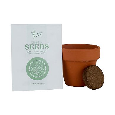 Buzzy Seeds Terra Cotta Mini Grow Pot- Sunflower