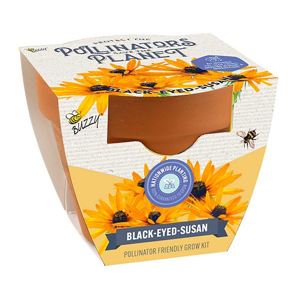 Buzzy Seeds Pollinator Terra Cotta Grow Kit- Black Eyed Susan