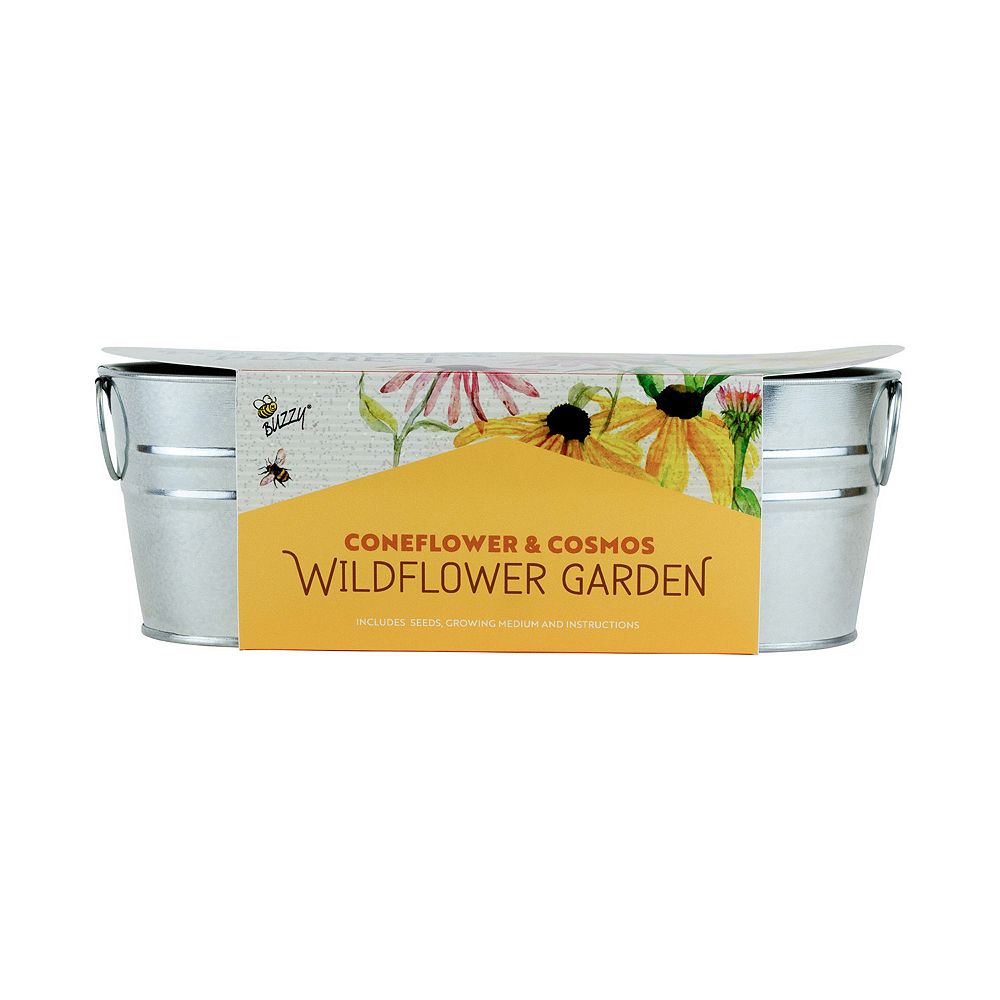 Buzzy Seeds Pollinator Coneflower & Black Eyed Susan Windowsill Kit