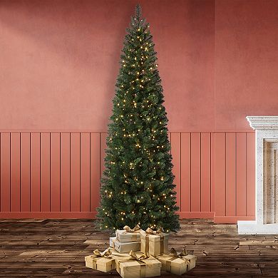 7.5 Foot Pencil Deerfield Spruce Tree with Warm Pre-Lit LED Cluster ...