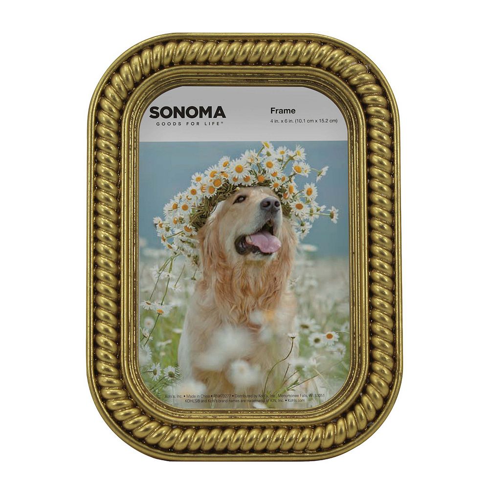 Sonoma Goods For Life® Metal Picture Frame Table Decor