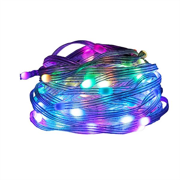 65.6 ft. Dimmable LED Smart String Lights