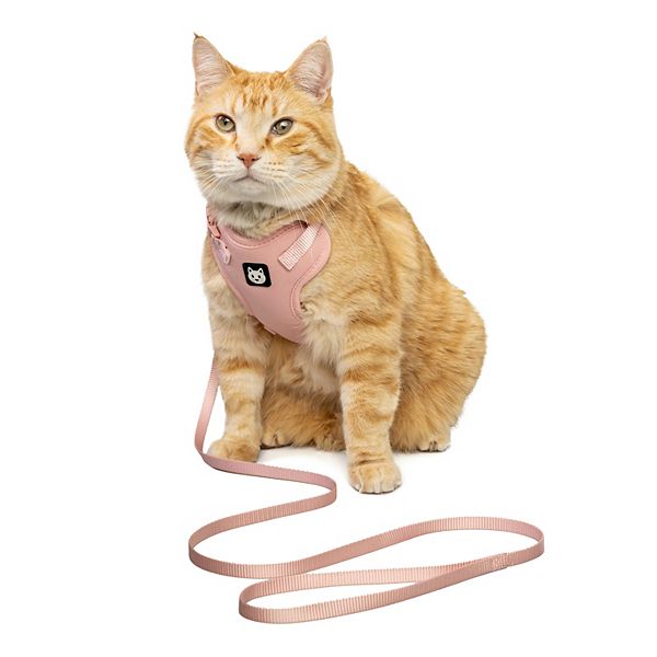 Kitty City Pink Cat Harness & Leash Set