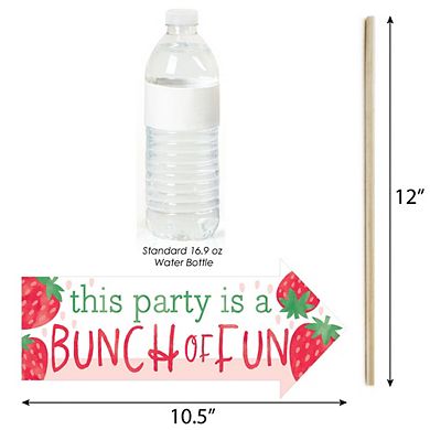 Big Dot Of Happiness Funny Berry Sweet Strawberry Birthday Party Photo ...