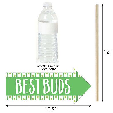 Big Dot Of Happiness Funny Double The Fun - Twins Two Peas In A Pod ...