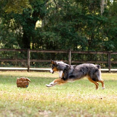 Pet Knows Best Wobble Wag SquWhirl Whistling Dog Toy