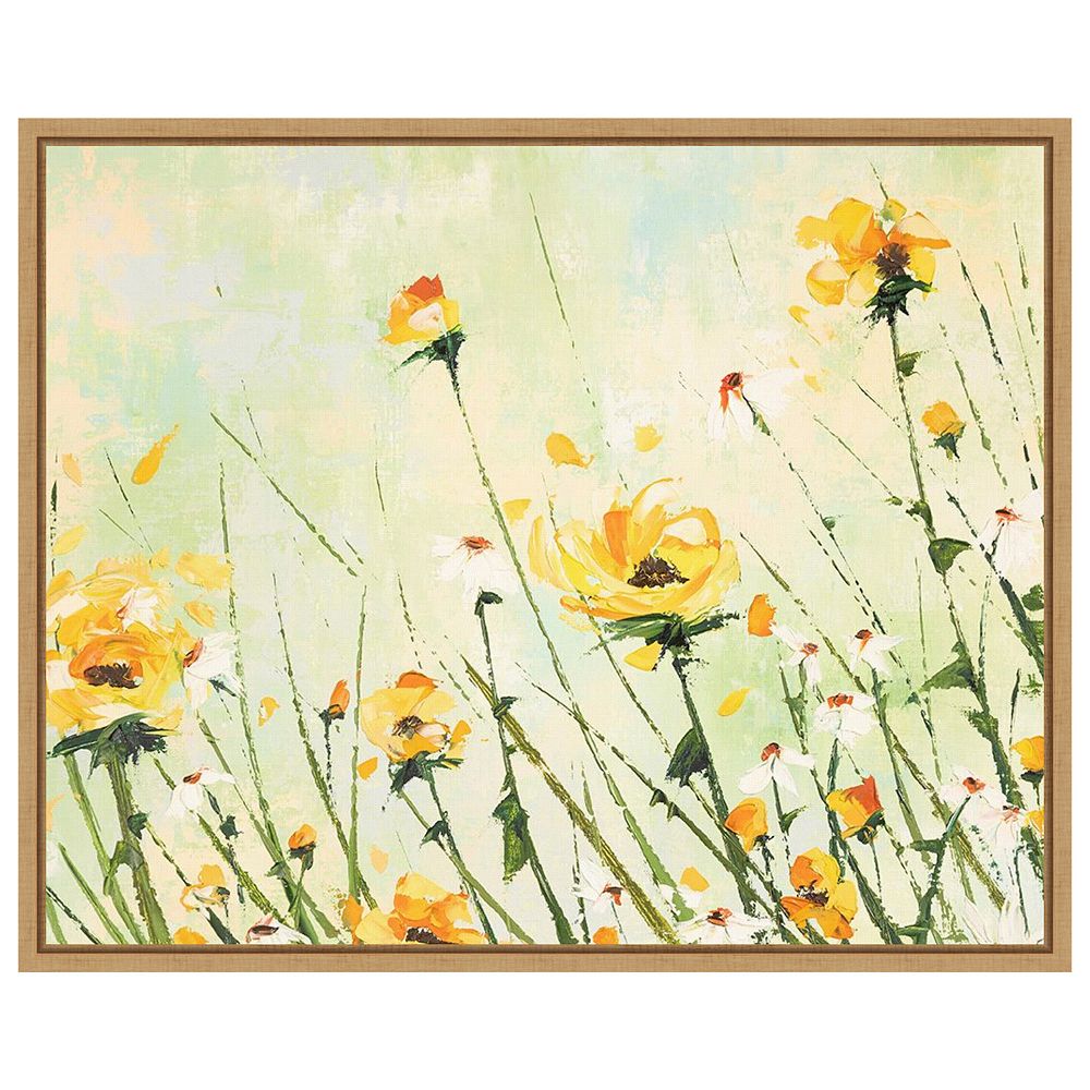 Chrysanthemum And Daisy Field By Emma Coghlan Framed Canvas Wall Art Print