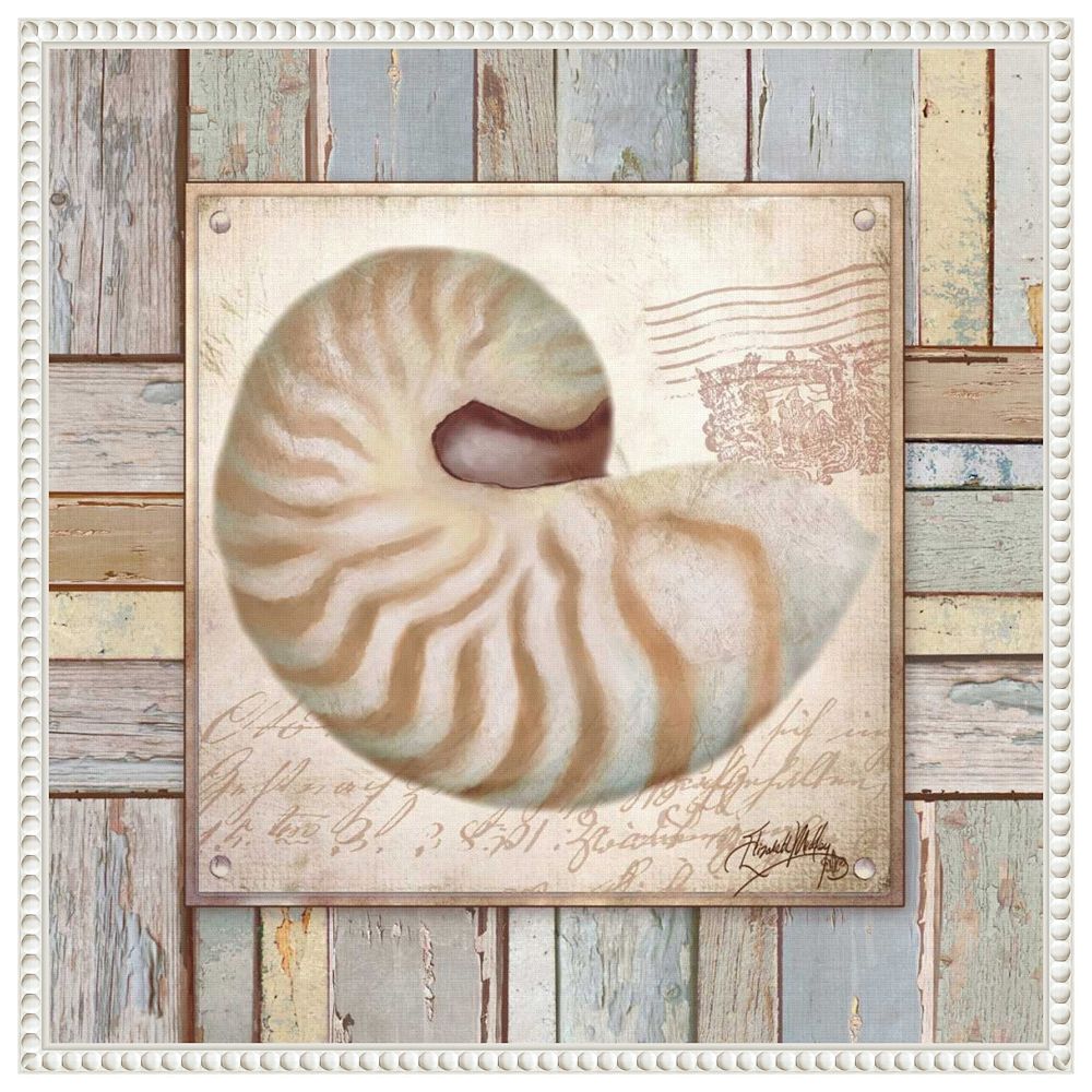 Beach Shell Iii By Elizabeth Medley Framed Canvas Wall Art Print
