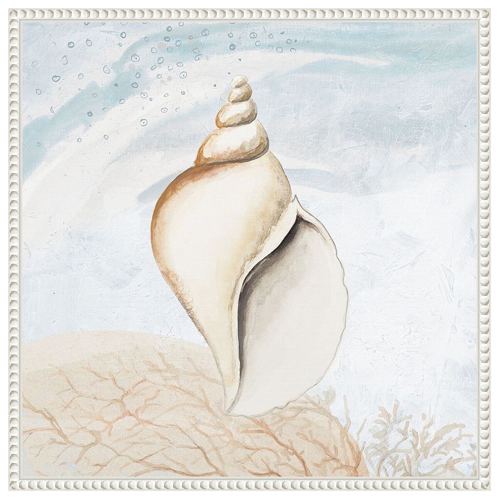 Ocean Oasis Tropical Seashell I By Patricia Pinto Framed Canvas Wall ...