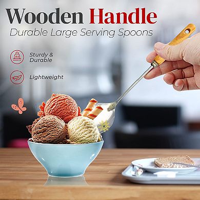 Alpine Cuisine Stainless Steel Chrome Plate Spoon 13 Inch With Heat ...