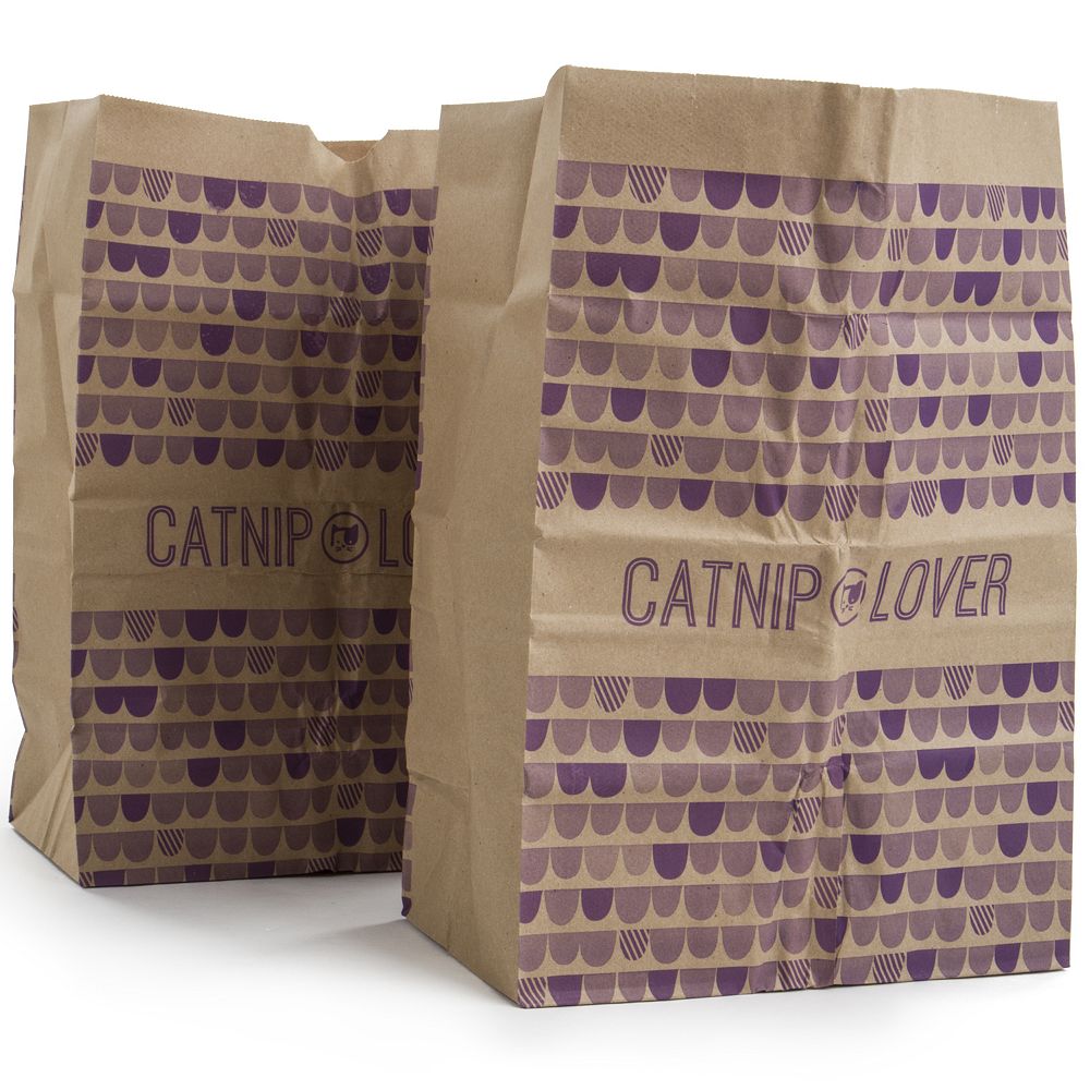 SmartyKat Catnip Caves 2-pack Catnip Infused Paper Bag Cat Toys