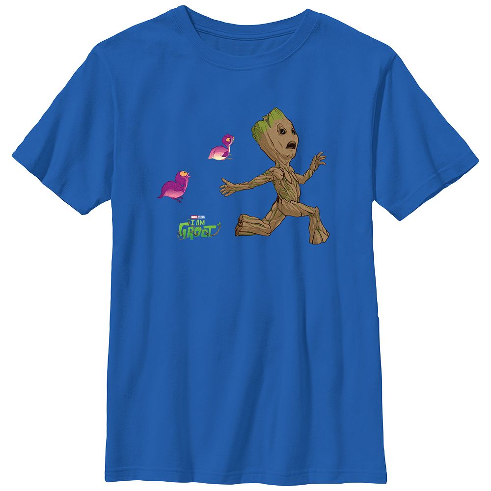 Boys 6-20 I Am Groot Birds And Groot Graphic Tee