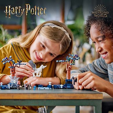 LEGO Harry Potter Forbidden Forest: Magical Creatures 76432 Building ...