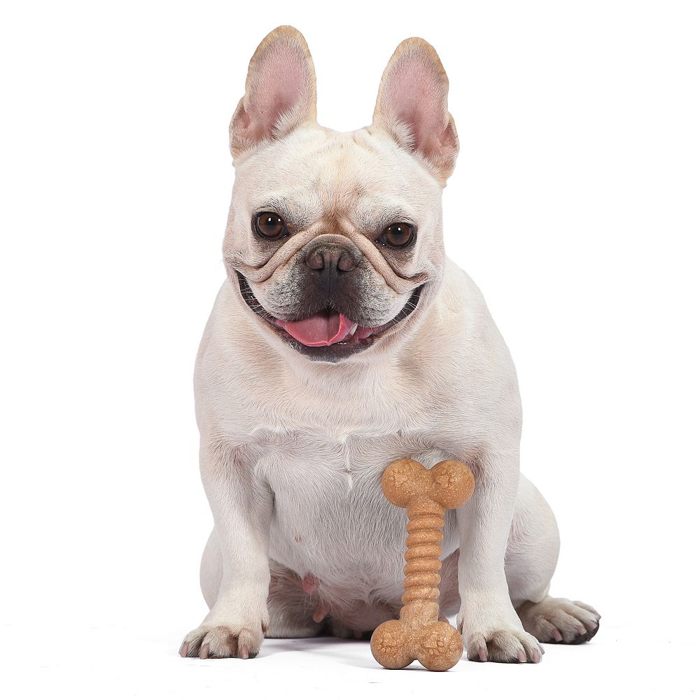 Arm & Hammer: Barkies 5-in. Peanut Butter Flavor Classic Bone Dog Toy