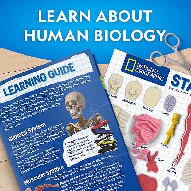 National Geographic Glow-In-The-Dark Human Body STEM Build Kit