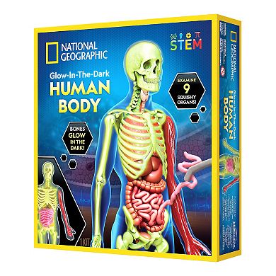 National Geographic Glow-In-The-Dark Human Body STEM Build Kit