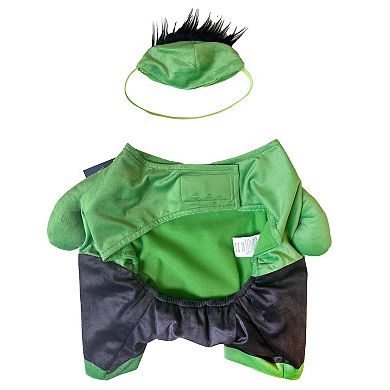 Woof Hulk Pet Costume