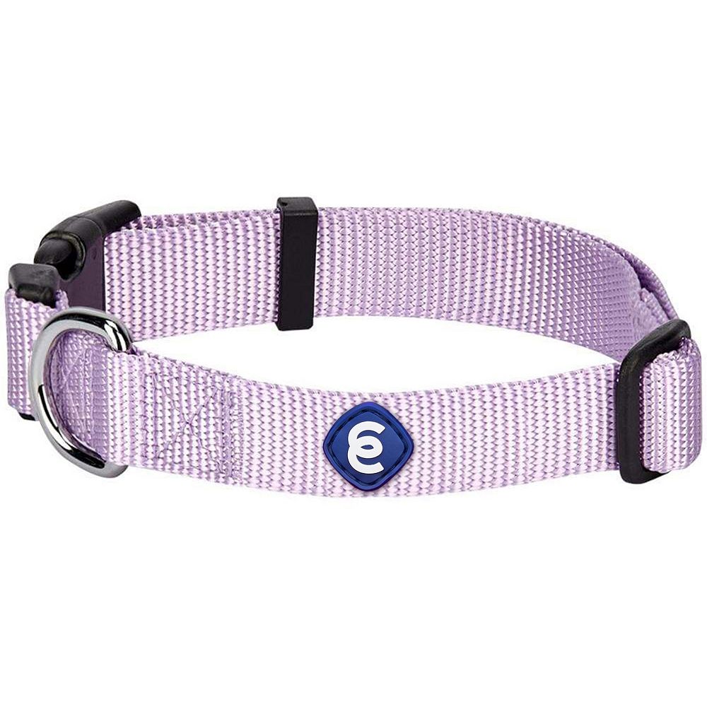 Blueberry Pet Classic Solid Dog Collar