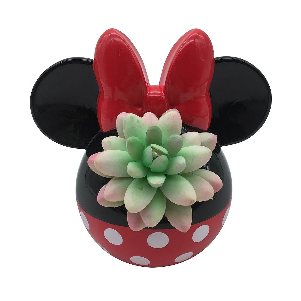 Disney's Minnie Mouse Mini Planter