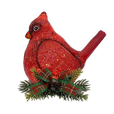 St. Nicholas Square® Holiday Cardinal Shimmer LED Snow Globe Table Decor
