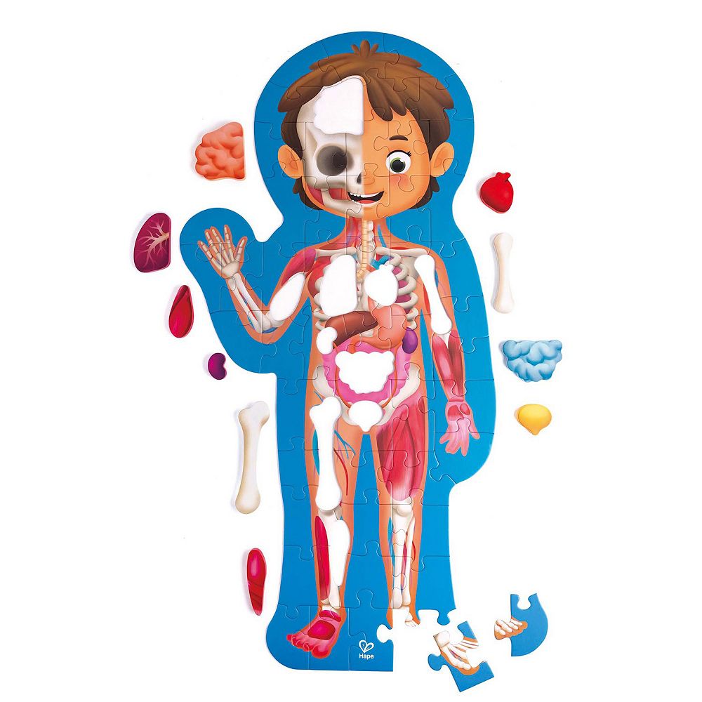 Hape Human Body Educational Anatomy Jigsaw Puzzle