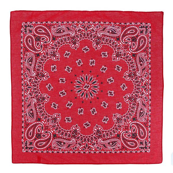 Modern Paisley 20x20 Cotton Bandana