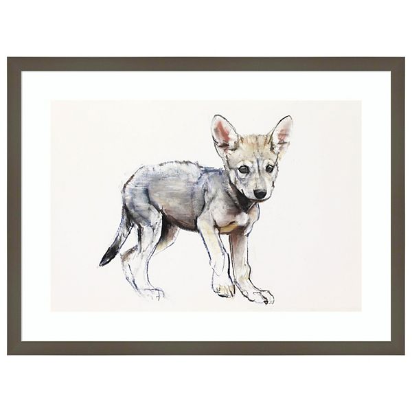 Hesitating Arabian Wolf Pup By Mark Adlington Wood Framed Wall Art Print
