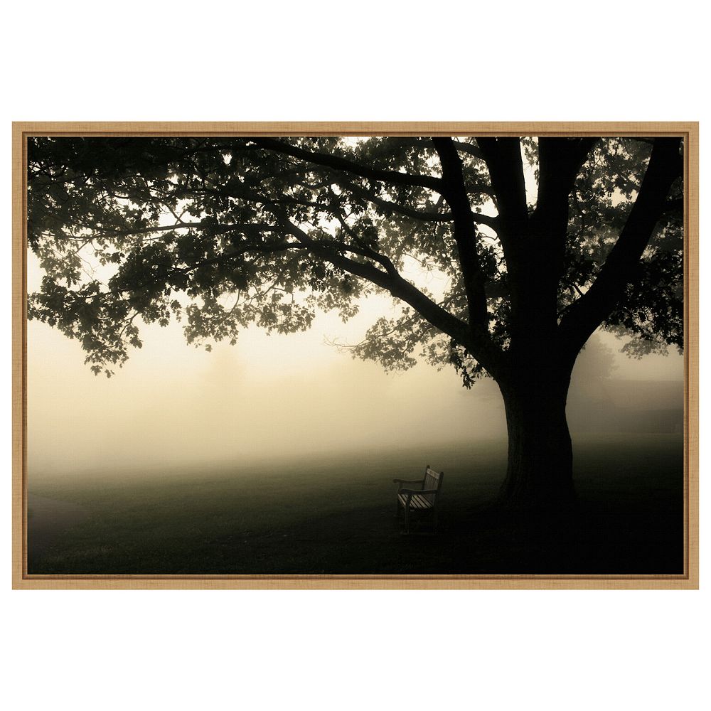 Shenandoah By Andy Magee Framed Canvas Wall Art Print