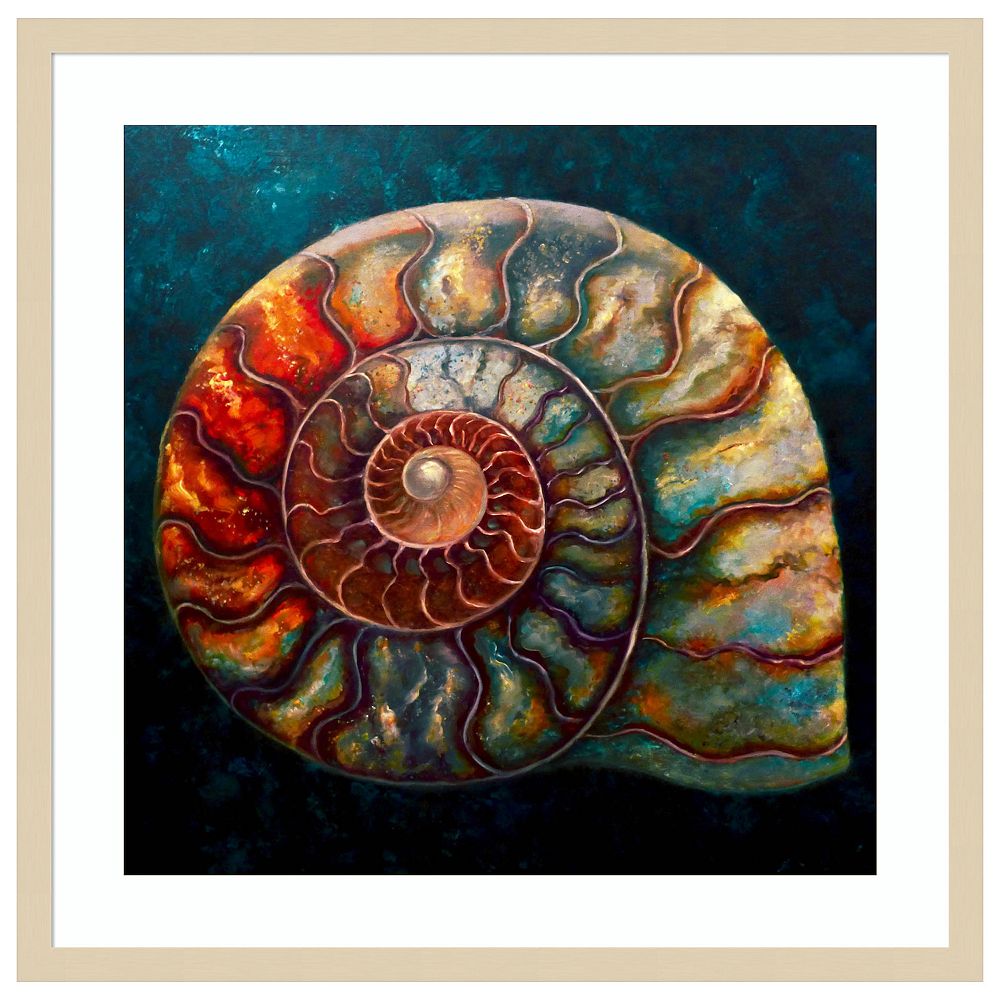Ammonite Shell Layers Ii By Lee Campbell Wood Framed Wall Art Print