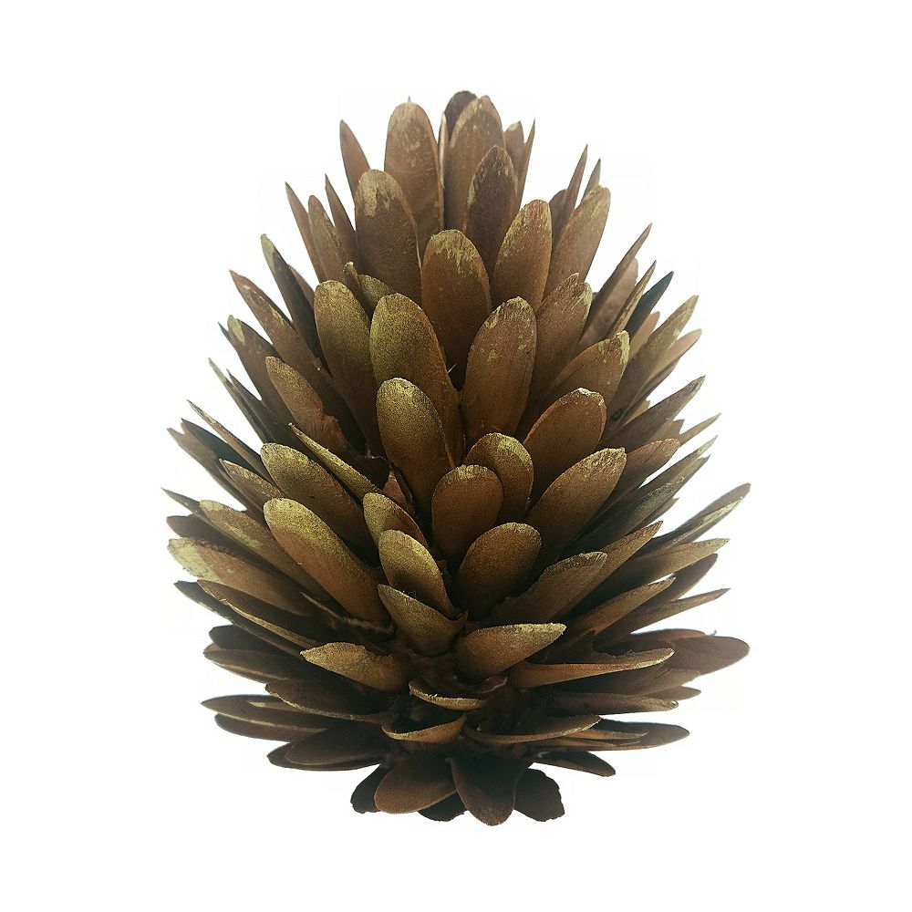 Celebrate Together™ Fall Wood Curl Pinecone Table Decor