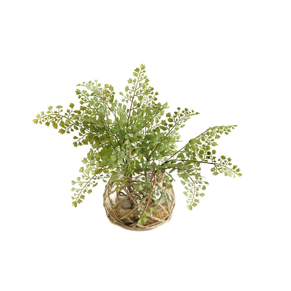 Maiden Hair Fern In Glass Ball