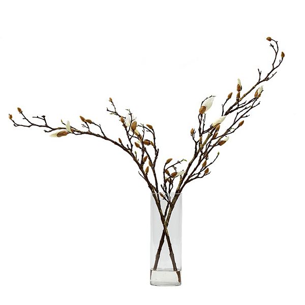 Magnolia Stems In Glass Vase