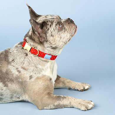Draper James™ Red Classic Polka Dot Pet Collar