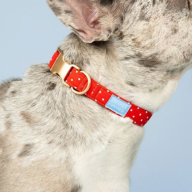 Draper James™ Red Classic Polka Dot Pet Collar