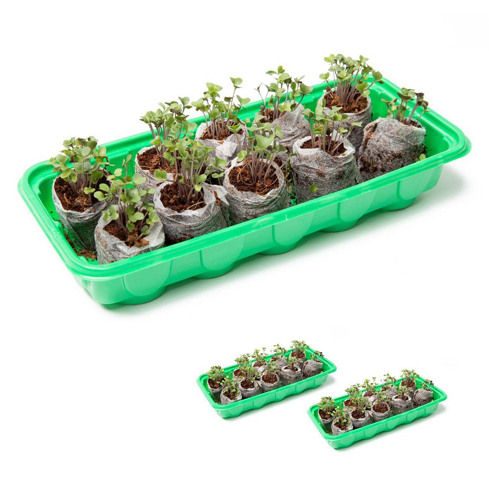 Seed Starter Kit, Reusable Plastic Indoor Seed Starter Tray With Dome ...