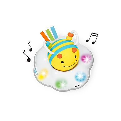 Skip Hop Explore & More Follow-Bee Baby Crawl Toy