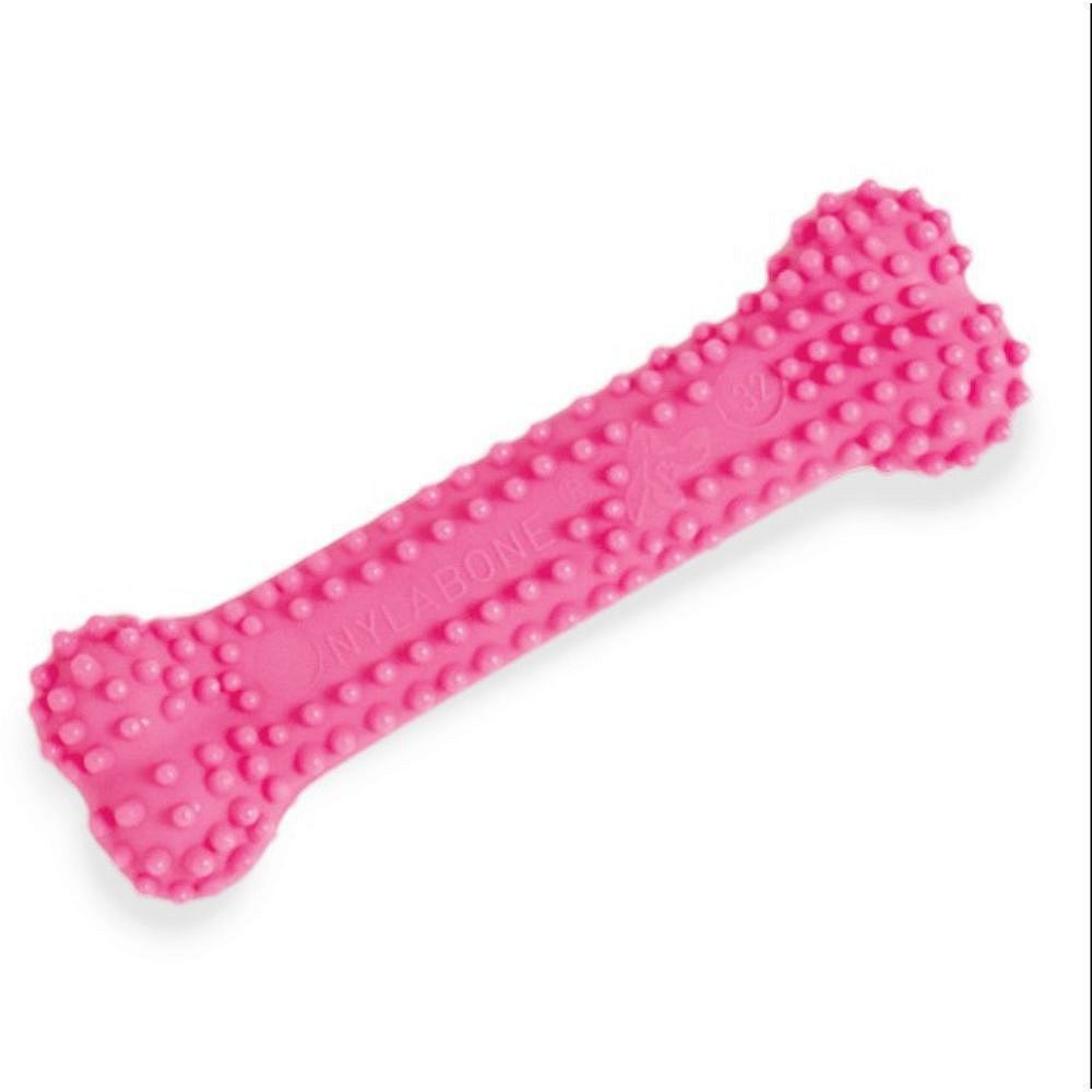 Nylabone Chew Dental Bone Chew Toy - Pink (3.75")