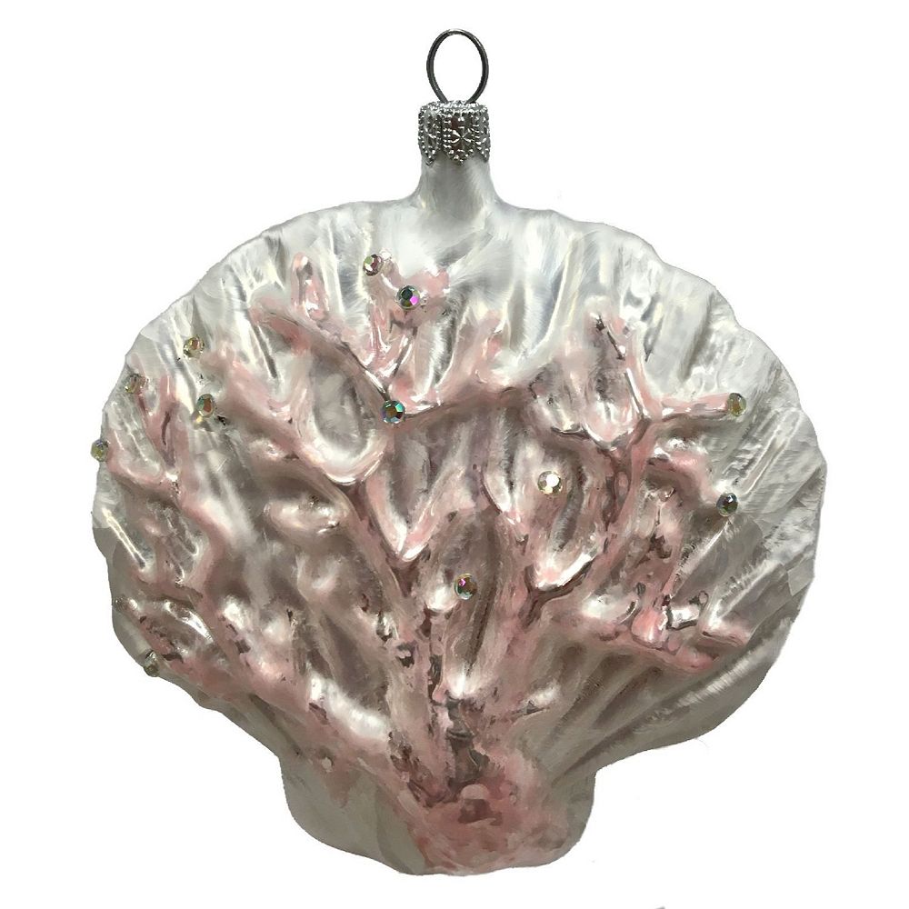 Pinnacle Peak Trading Coral Covered Scallop Seashell Polish Glass ...