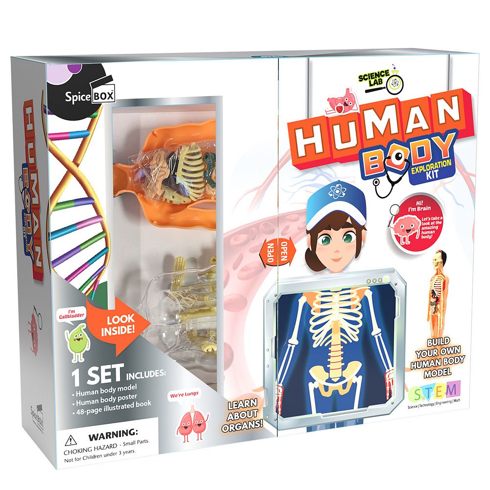 SpiceBox Science Lab: Human Body Kit
